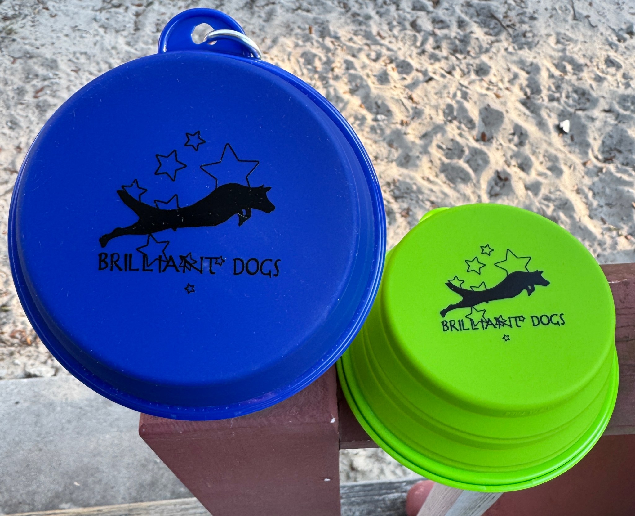 2026 Brilliant Dogs SE UKI Cup – My Brilliant Dog